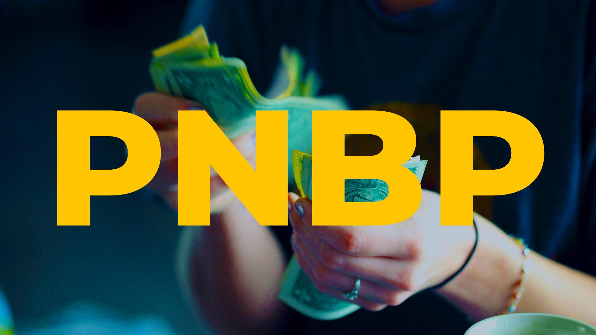 Contoh PNBP Adalah: Pengertian dan Cara Membayarnya - Proconsult